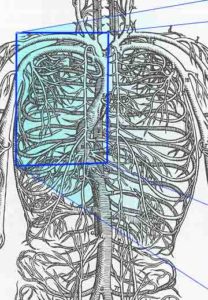 Fractal Body