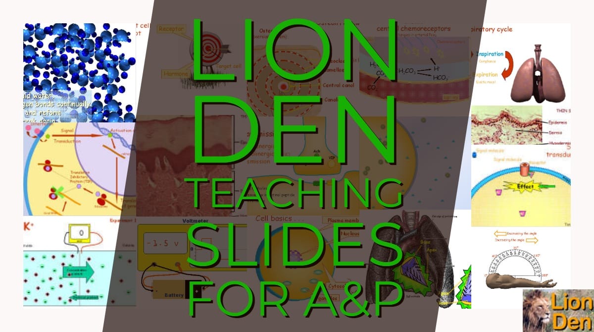 Slides for Teaching Anatomy & Physiology