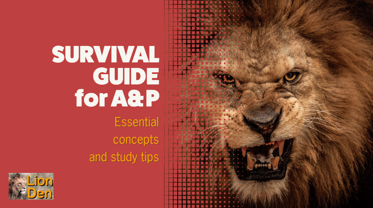 Survival Guide